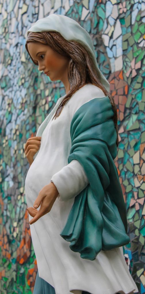 MARÍA ES EL PRIMER LIBRO - Edilva